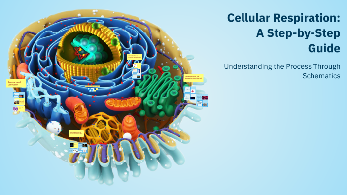 Cellular Respiration: A Step-by-Step Guide by A S on Prezi
