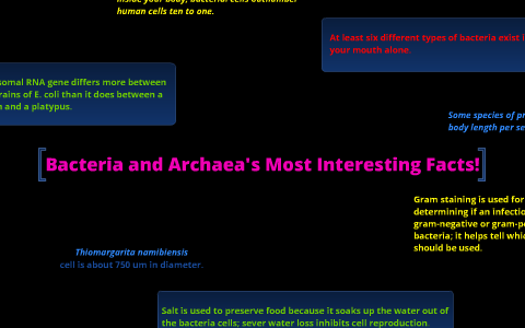 Bacteria and Archaea Interesting Facts by Madison Thrift on Prezi