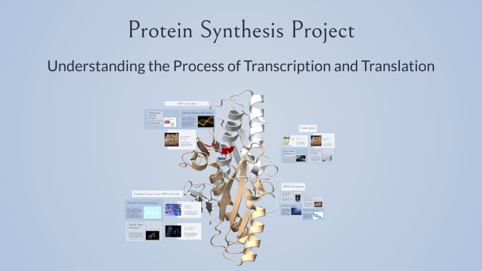 Protein Synthesis Project by Ahmed Mityar on Prezi