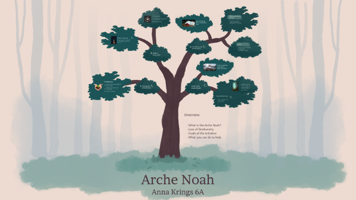 Arche Noah English by Anna Valentina on Prezi
