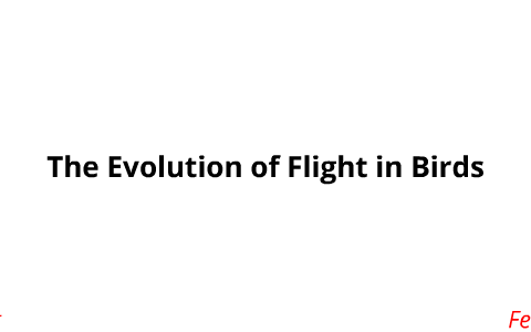 The Evolution of Flight in Birds by Jonathan Allen on Prezi
