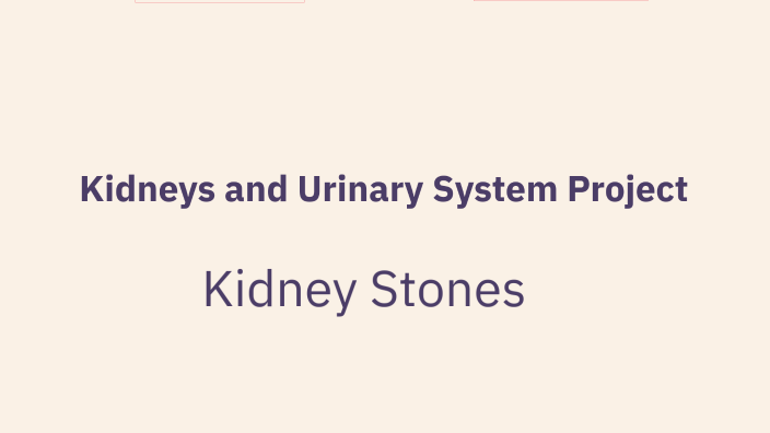 Kidneys and Urinary System Project by Summer Peedin on Prezi
