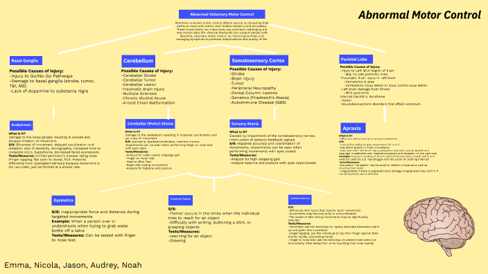 Abnormal Motor Control by Noah Breitenstein on Prezi