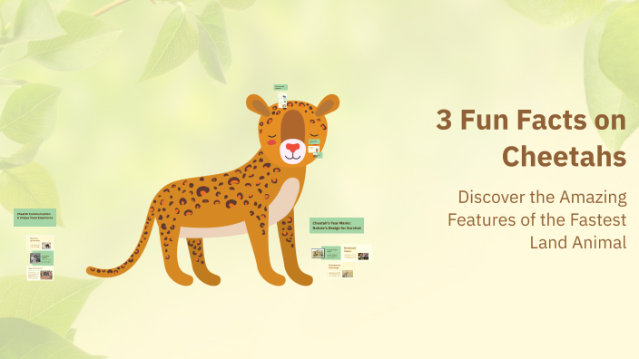 3 Fun Facts on Cheetahs by Nicolas Mann on Prezi