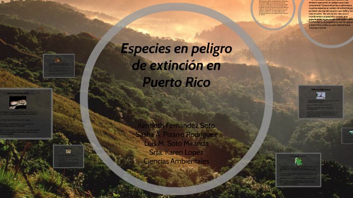Especies En Peligro De Extincion En Puerto Rico By Kenneth Fernandez On Prezi