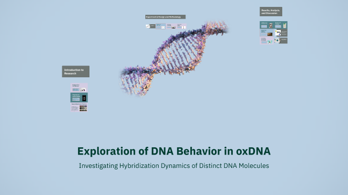 Exploration of DNA Behavior in oxDNA by Rich Evans on Prezi