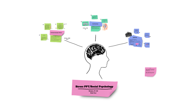 The Basic Concepts of Stress by Blake Reed on Prezi