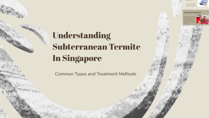 Understanding Subterranean Termite In Singapore by Hadi Hanafi on Prezi