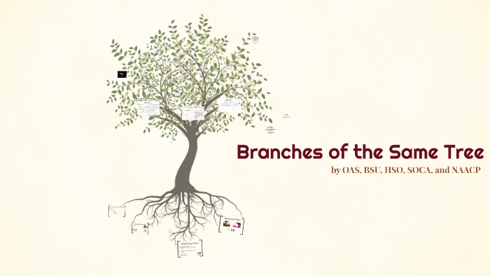 Branches of the Same Tree by ashlei gentry on Prezi