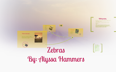 Zebras by Mike Filipowicz