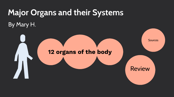 Major organs and their systems by Mary Humiston on Prezi