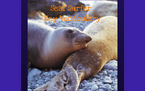 Seal Surfer Key Vocabulary by Diana Mendoza on Prezi