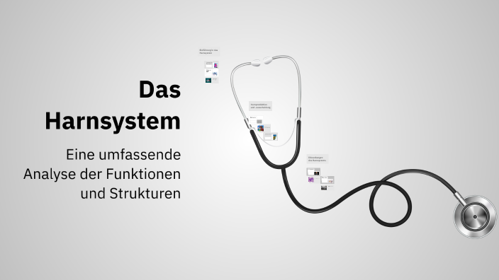 Das Harnsystem by Matin Qamari on Prezi