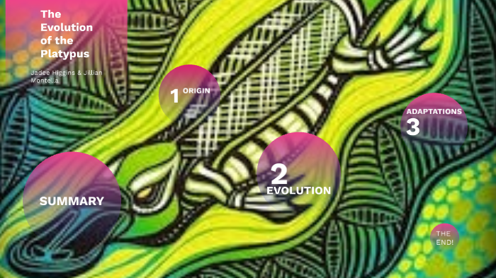 The Evolution of a Platypus by Jillian Montella on Prezi