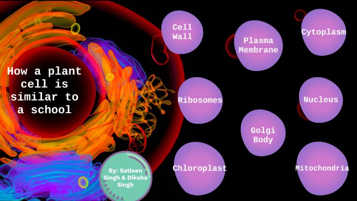 Cell Organelle Analogy Project by DIKSHA SINGH on Prezi