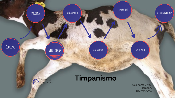 Timpanismo by DIEGO FABIAN CANGO JARA on Prezi