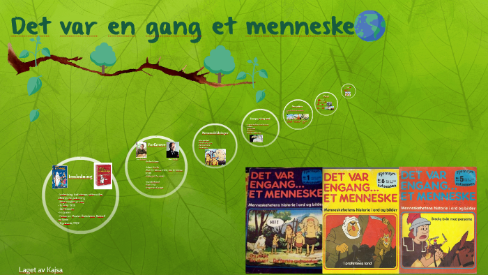 Det var en gang et menneske by Kajsa Gravås Bergstrøm