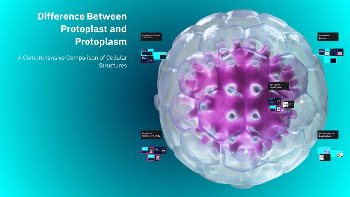 Difference Between Protoplast and Protoplasm by Shweta Jha on Prezi