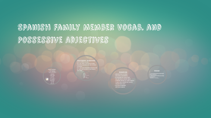 Spanish Family Member Vocab. and Possessive Adjectives by Holly Parton ...