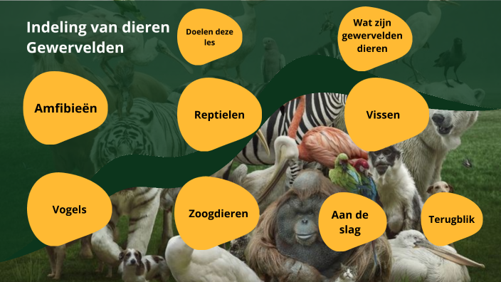 Gewervelden dieren by Norbert Ebert