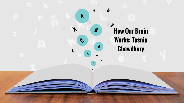 how-our-brain-works-by-tasnia-chowdhury