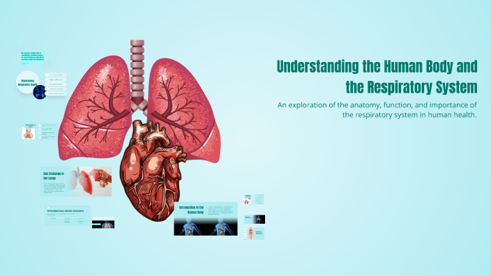 Understanding the Human Body and the Respiratory System by Ally Hodgson ...