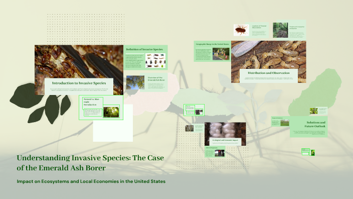 Understanding the Emerald Ash Borer by Graydon Stoll on Prezi