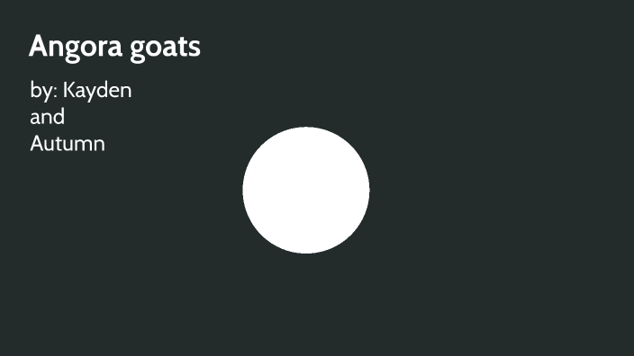 Angora goat by Autumn Crenshaw on Prezi