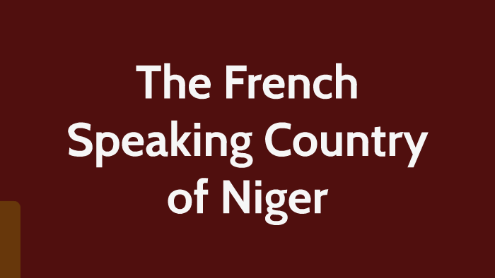 THis is the flag of Niger, bask in its glory! by Brandon Smith on Prezi