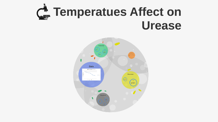 Urease Lab by Rory Halliday on Prezi