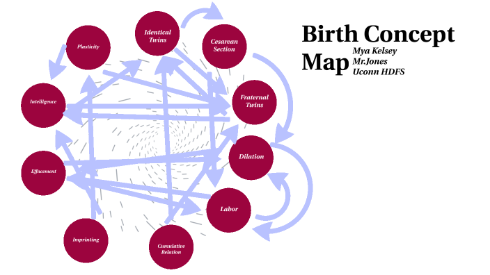 Birth Concept Map by Mya Kelsey on Prezi