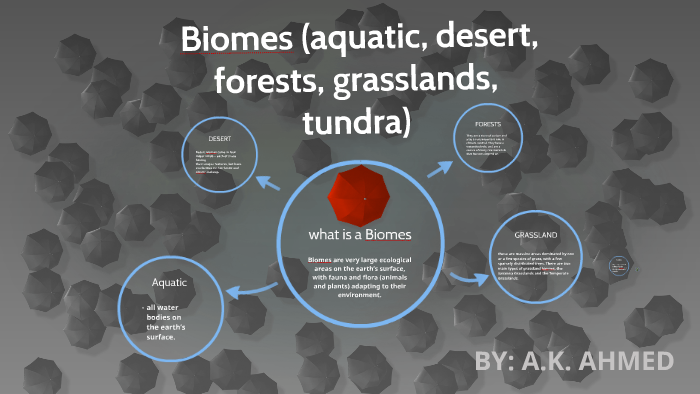 Biomes (aquatic, desert, forests, grasslands, tundra) by Ak Alsaidi on ...