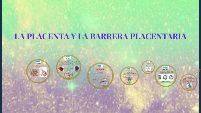 PLACENTA Y BARRERA PLACENTARIA by Kim Huayhua