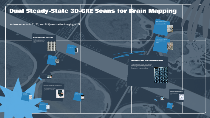 Dual Steady-State 3D-GRE Scans for Brain Mapping by Dana Yacobi on Prezi