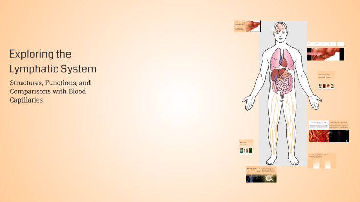 Exploring the Lymphatic System by Joni Grannemann on Prezi