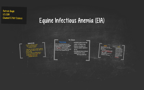 Equine Infectious Anemia (EIA) by Patrick Boyle on Prezi