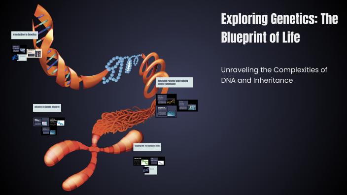 Exploring Genetics: The Blueprint of Life by BEHNIA SADEGHI on Prezi