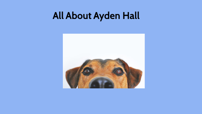 All about Ayden Hall by Ayden Hall on Prezi