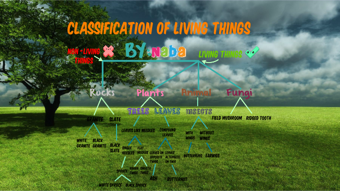 Classification of living things by Naba Osman on Prezi