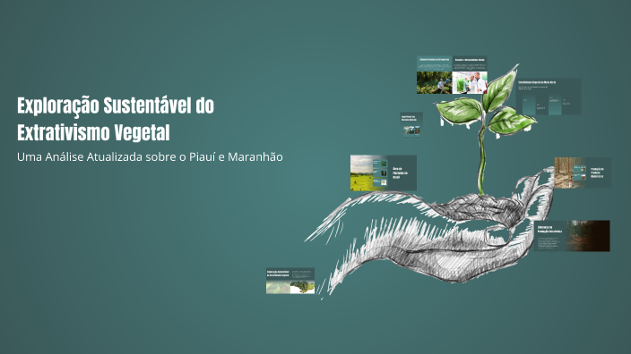 Exploração Sustentável do Extrativismo Vegetal by maria bioflor on Prezi