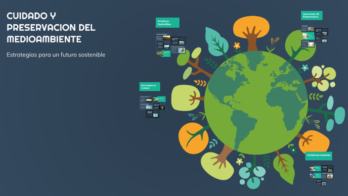 CUIDADO Y PRESERVACION DEL MEDIOAMBIENTE by Leonardo Manuel Mestanza ...