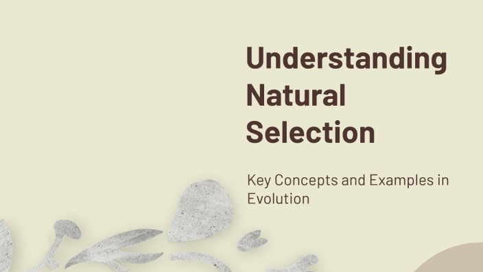 Understanding Natural Selection by Leslie McDonald on Prezi