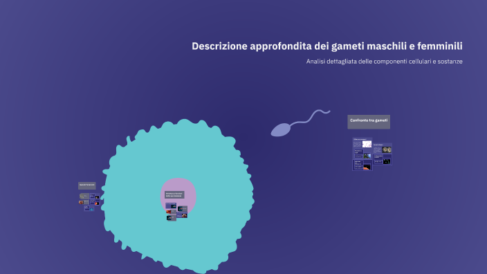 Descrizione approfondita dei gameti maschili e femminili by Antonio ...
