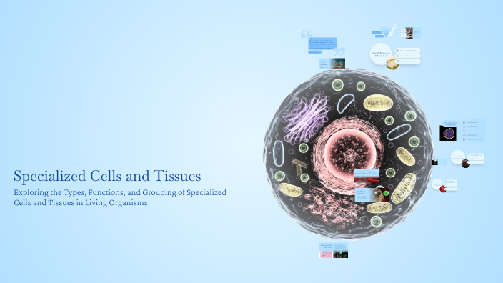 Specialized Cells and Tissues by Austen Zara on Prezi