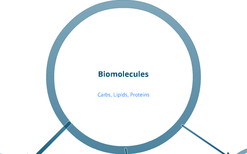 Biomolecules & Functional Groups by Ryan Principi on Prezi