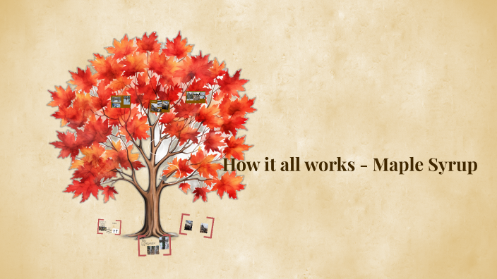 How it all works - Maple Syrup by Michaela Pilote on Prezi