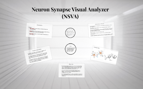 Neuron Synapse Visual Analyzer by Kenia Ascencio on Prezi