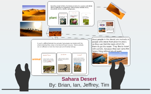 Sahara Desert by Brian Peng on Prezi