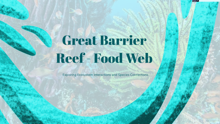Food Web of Marine Life in the Great Barrier Reef by Andrew Klijn on Prezi