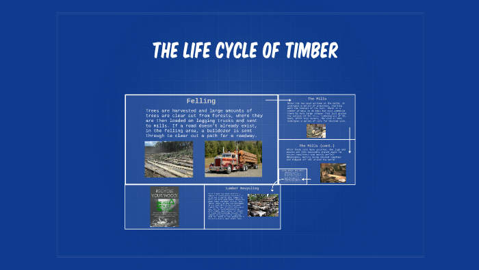 The Life Cycle of a 2x4 by Trevor Oakes on Prezi